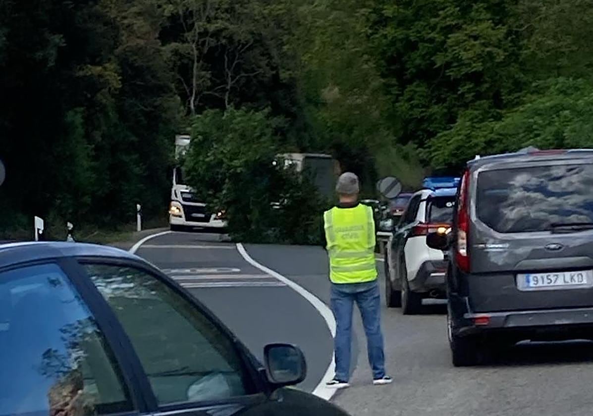 Restablecida la circulación en la N-111, tras un corte de una hora por la caída de un árbol en ...